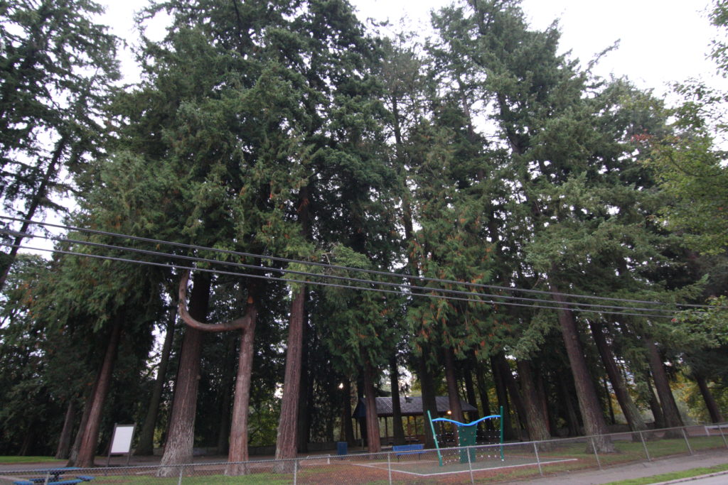 Twin Peaks Location - The River in Monroe, Washington | TWIN PEAKS BLOG